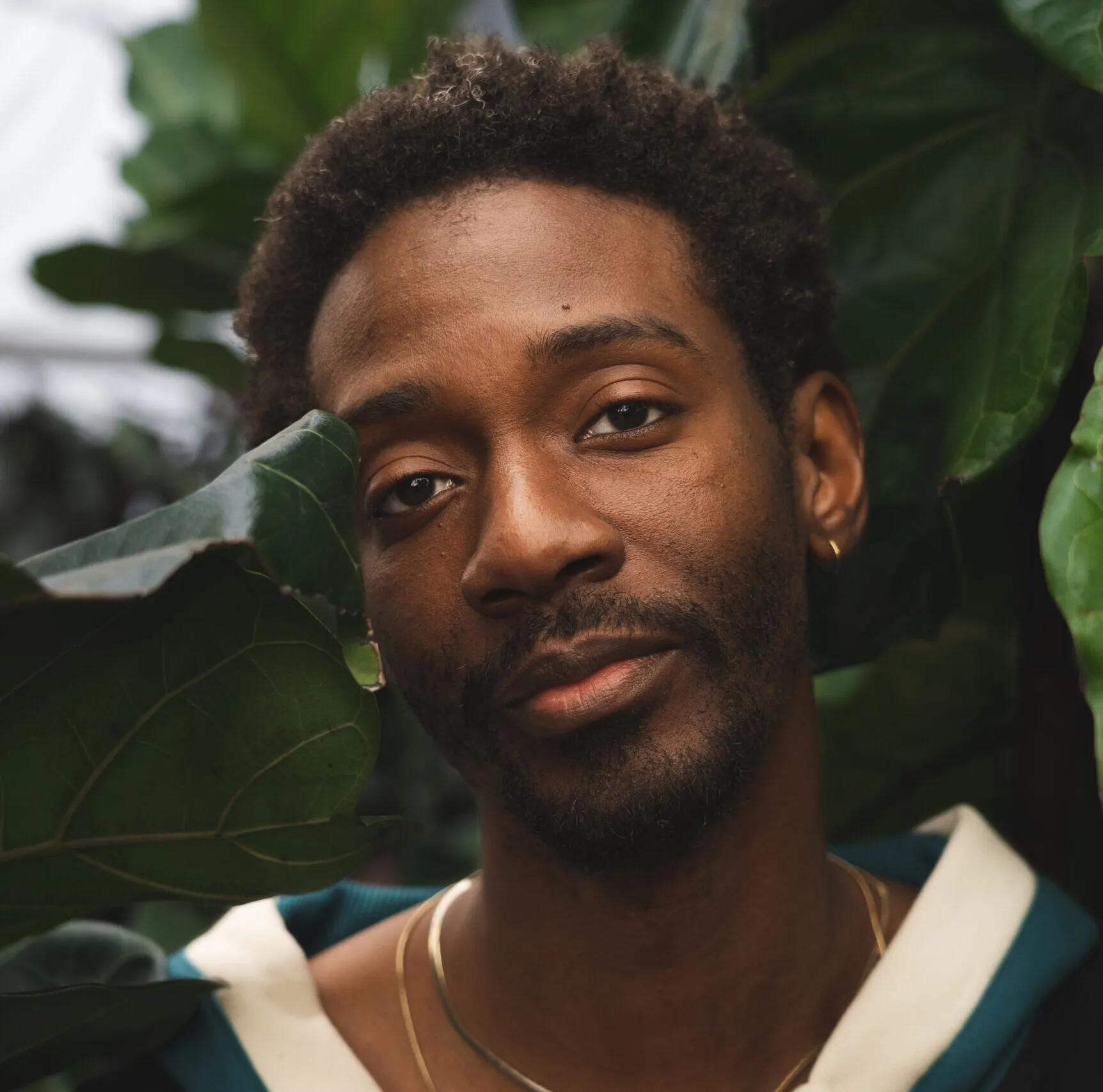 Faculty & Staff - PocketMFA